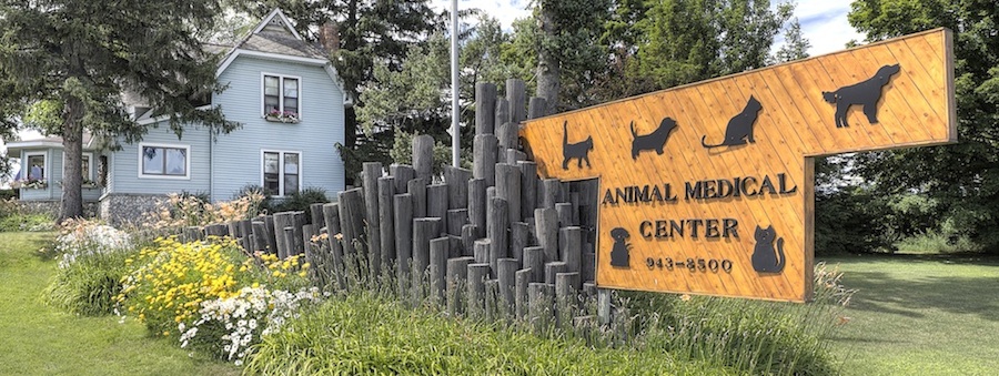 About Animal Medical Center - Animal Medical Center of Traverse City