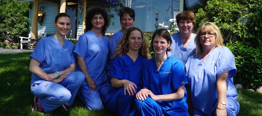 amc-staff-summer2015 - Animal Medical Center of Traverse City
