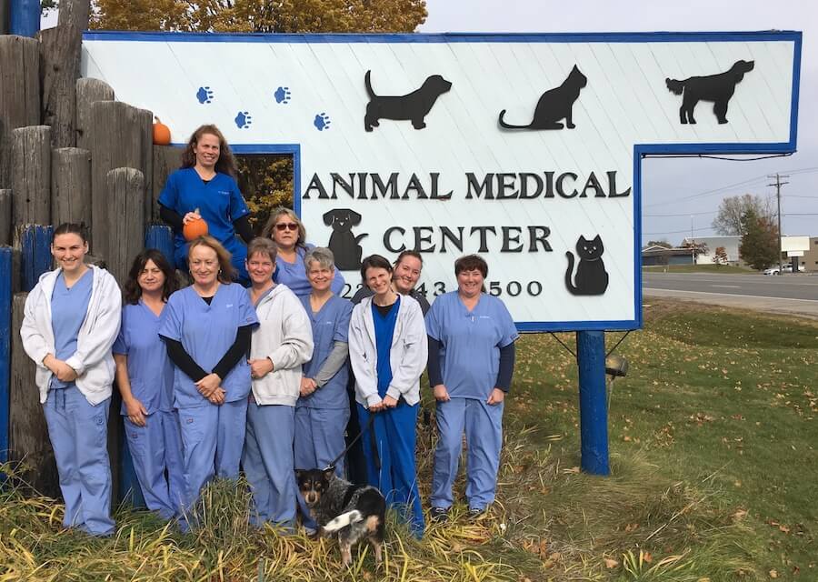 Meet the AMC Staff - Animal Medical Center of Traverse City